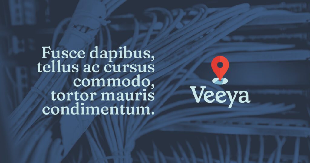 Branding for Veeya